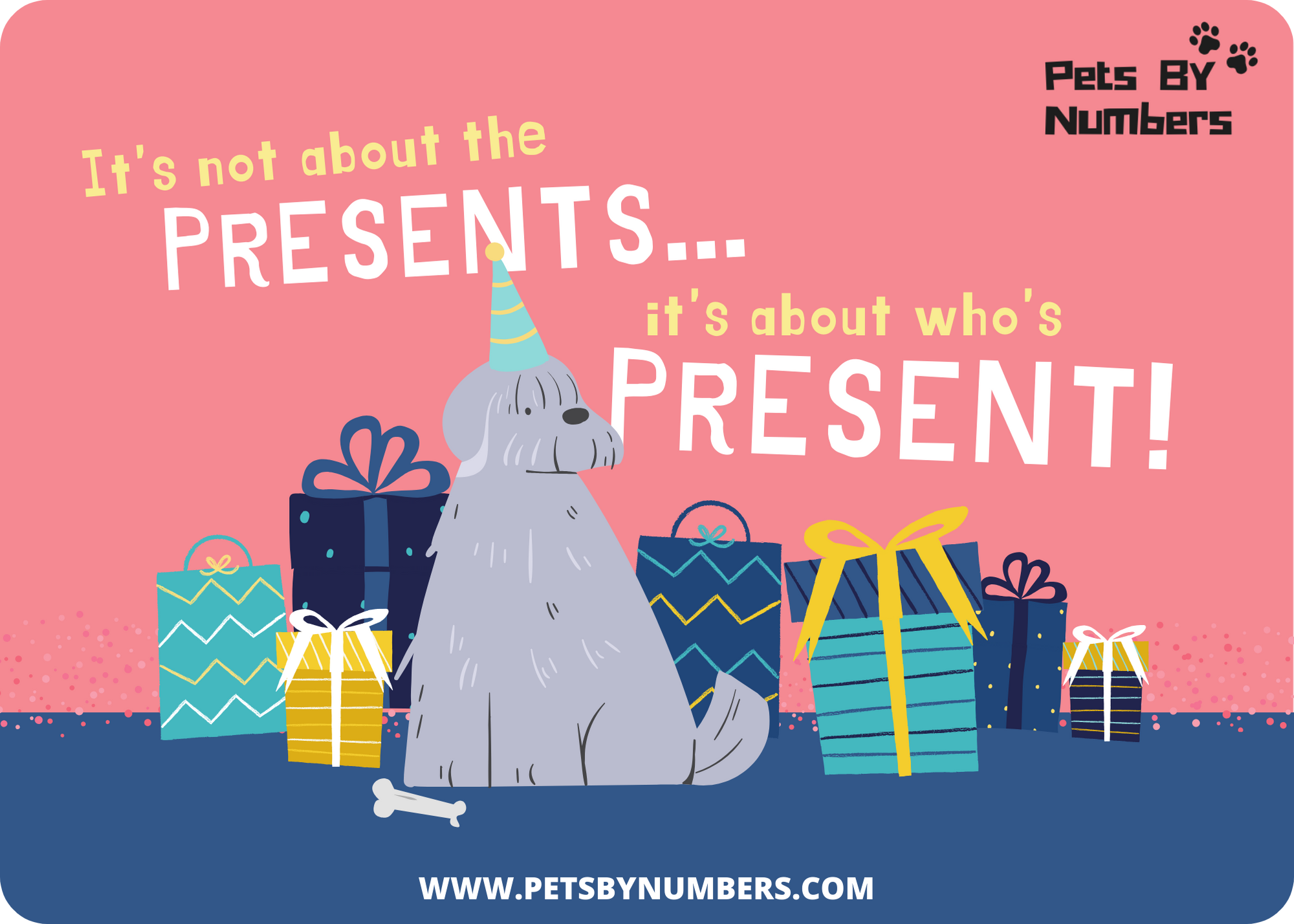 Pet Store Gift Cards Gift Cards Pets By Numbers Pet Store Gift Cards Gift Cards Pets By Numbers